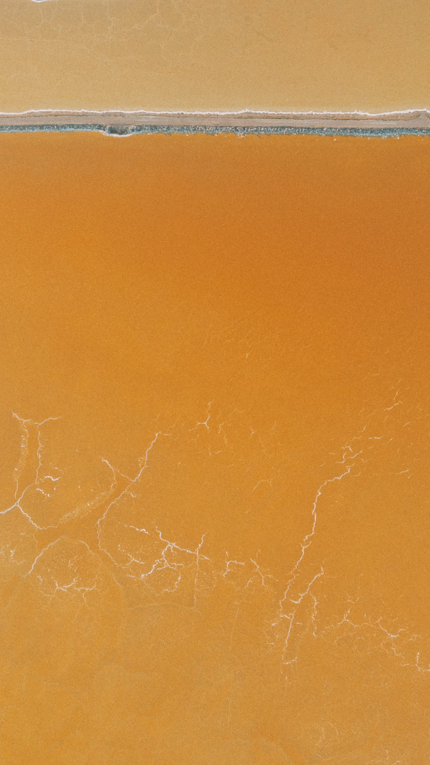 the Early Career (and similar), by topic – Angela GIBNEY